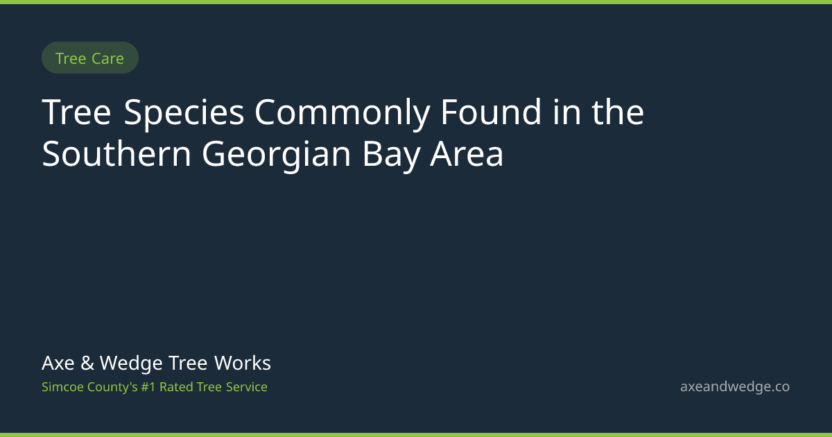 Tree Species Commonly Found in the Southern Georgian Bay Area | Axe ...